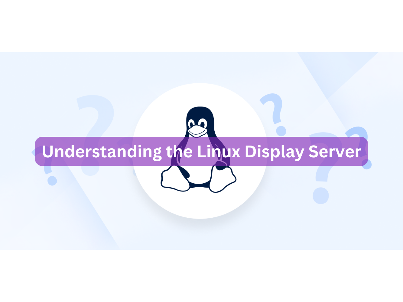 Understanding the Linux Display Server